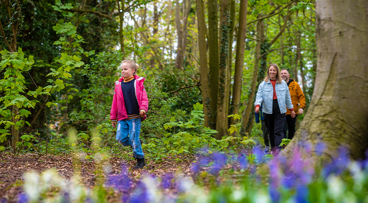 Places to get active outdoors in Norfolk