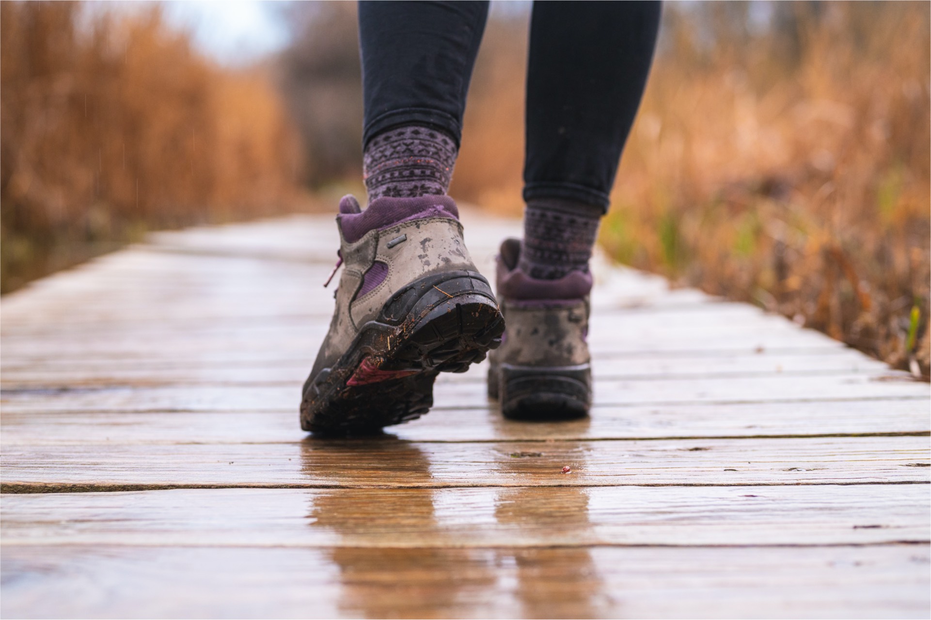 Walk Leader Training - Building Activities in Norfolk - Active Norfolk
